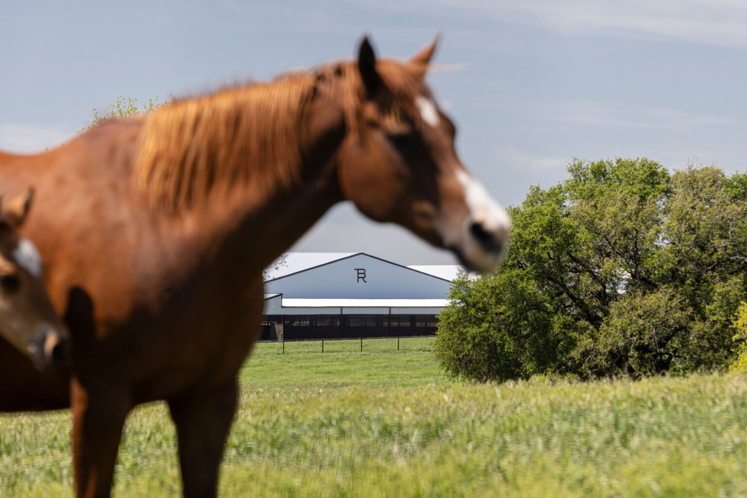 News - Bosque Ranch Headquarters